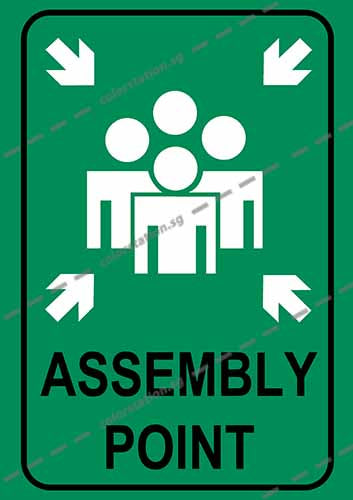 ASSEMBLY POINT - Quality Product, Attractive Prices – Color Station Website